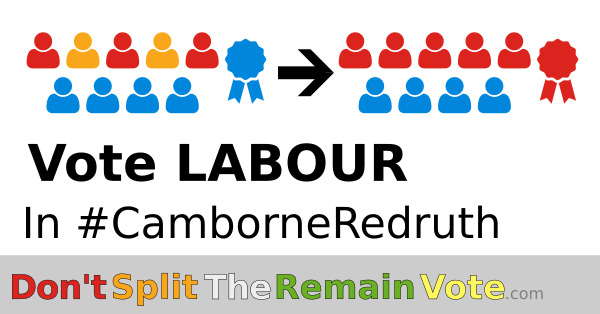 Camborne and Redruth - Vote Tactically For Remain - Don't Split the ...