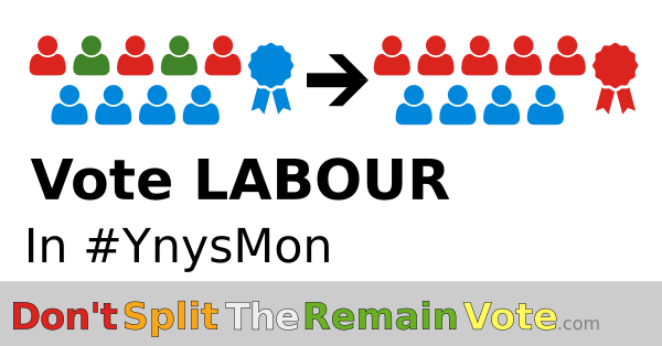 Ynys Mon - Vote Tactically For Remain - Don't Split the Remain Vote!